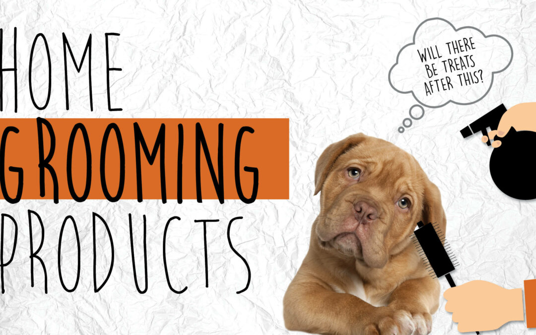Home Grooming - Phillips Pet Food & Supplies